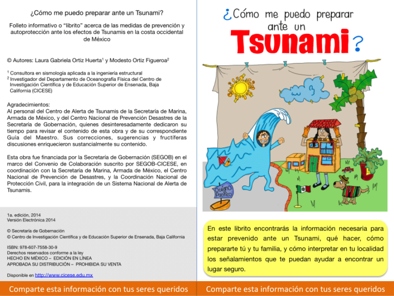 Medidas de seguridad y acciones prácticas luego de un tsunami: todo lo ...